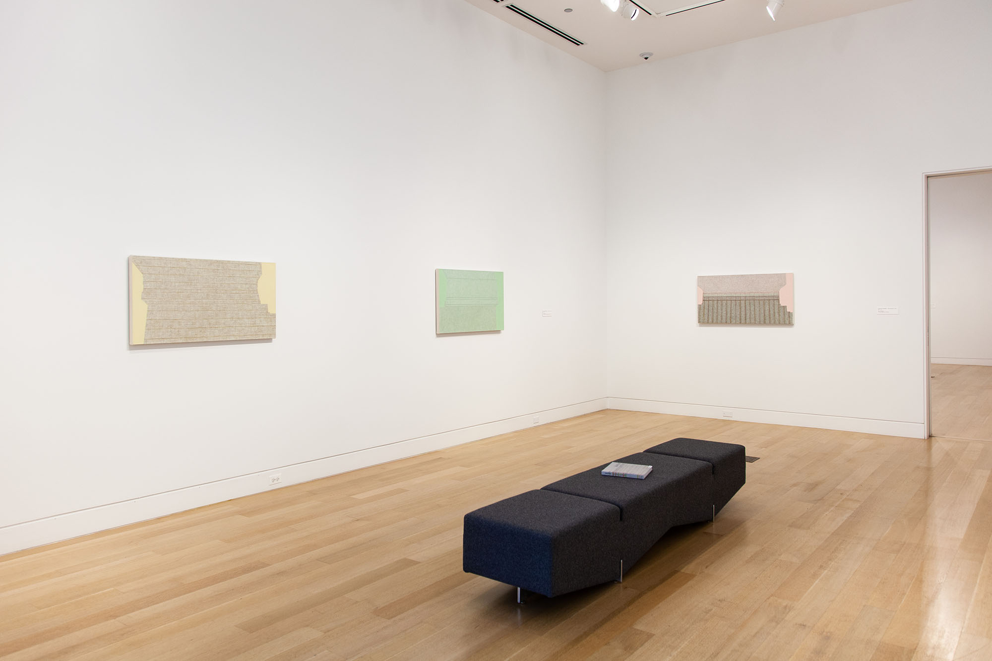 Julia Fish: bound by spectrum | Exhibitions | DePaul Art Museum ...