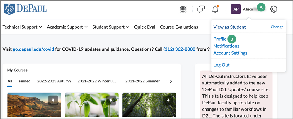 Profile | DePaul University, Chicago